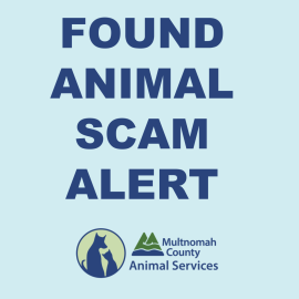 Home | Animal Services