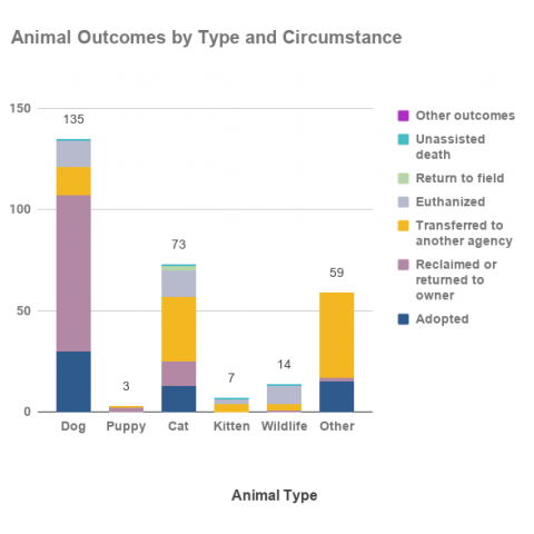 March 2021 Monthly Report | Animal Services
