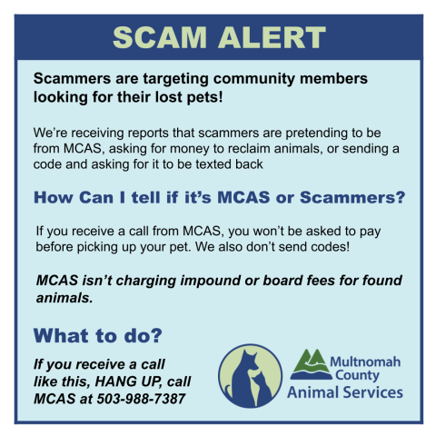 Scam Targets Lost Pet Owners | Animal Services