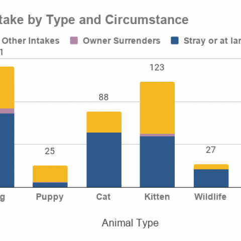 August 2020 Monthly Report | Animal Services